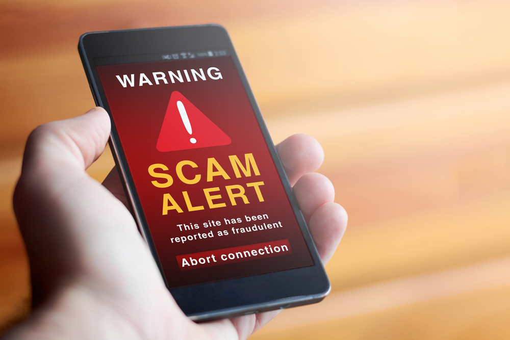 Popular Brands Scam Data: Protect Your Private Information